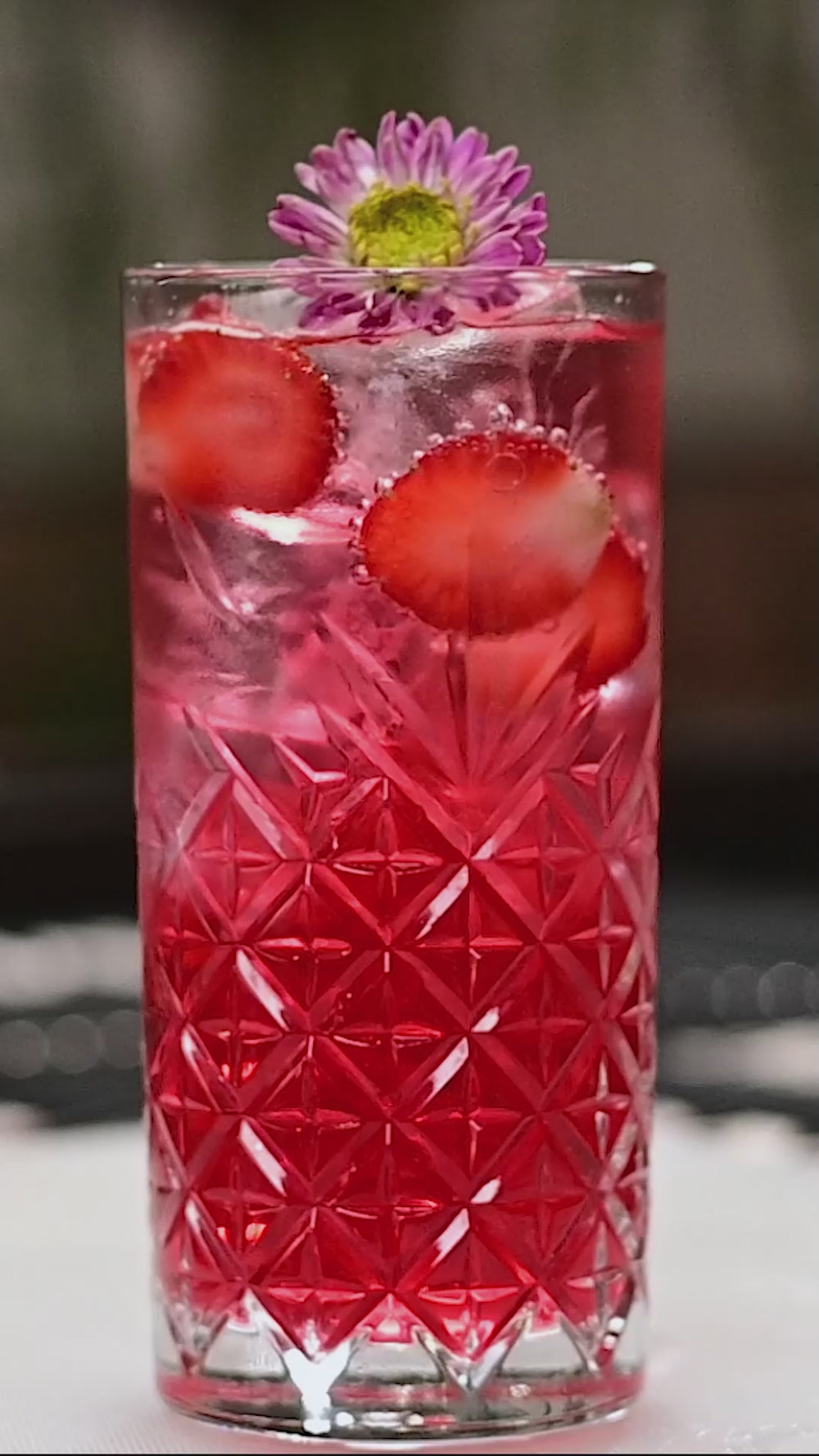 MONIN India: Create Delicious Drinks at Home Easily